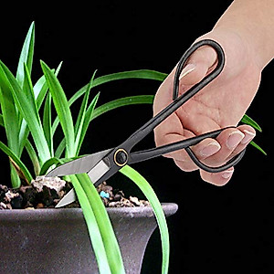 Hakeeta Bonsai Scissors, 205mm Long Handle Scissors Stainless Steel for Pruning Shear Bud Leaves, Bonsai Trimming Tool Garden Equipment Set.