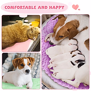 Reginary 10 Pcs Guinea Pigs Blankets Hamster Fleece Cage Liners Coral Fleece Quick Dry Soft Blankets Bedding Guinea Pig Accessories for Cat(18 x 24 Inch,Colorful)