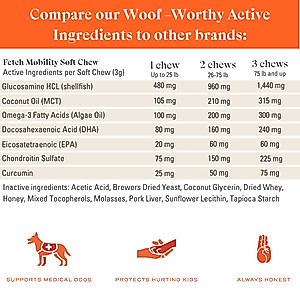 Soft Chew Multivitamin for Dogs - Mobility Focus | Joint Support and Cartilage Supplement for Dogs, Glucosamine HCl, Chondroitin Sulfate, and Curcumin | OTIS Healthy Dog Treats | 90 Counts, 9.52 oz