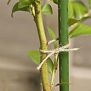 ZEE MANUFACTURING SMG12198W Miracle-GRO 2-Pack 4' Bundled Steel Stakes, Green