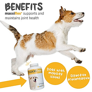 maxxipaws maxxiflex+ Hip & Joint Supplement for Adult Dogs - 120 Tablets