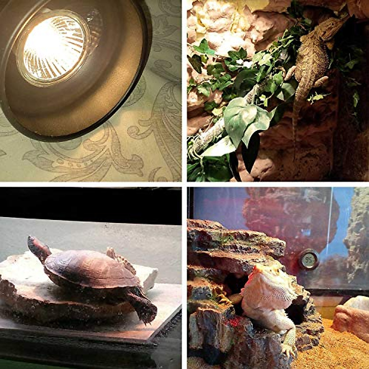 OMAYKEY 3-Pack 75W UVA + UVB Full Spectrum Sun Lamp Sunbathe Heat Lamp/Bulb/Light for Lizard Reptiles and Amphibians