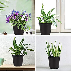 75 Pcs 0.5 Gallon Black Plastic Plant Nursery Garden Pots 6 Inches Seed Starting Pots Containers with 100 Labels