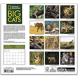 National Geographic Big Cats 2021 Wall Calendar