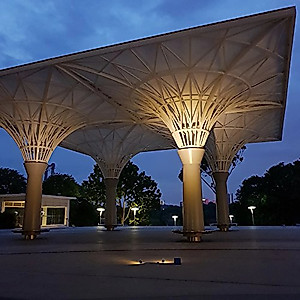 Legacy Mini 50X Twin Solar-Powered LED Spotlight (Warm White LED) for Outdoor Garden Yard Landscape Uplight Downlight, Waterproof, Black Finish