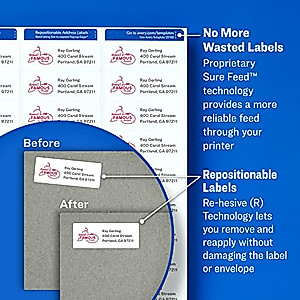 Avery Repositionable Shipping Labels for Laser Printers 2 x 4, Box of 1,000 (55163)