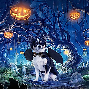 Do-Dottii Cat Halloween Costume Bat Wings Puppy Collar Halloween Cosplay Pet Cat Bat Wings for Halloween Party Decoration Witch Wizard Hat for Small Dogs Cats (Bat Wing +Collar)