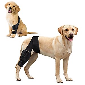 Knee Brace for Dog Torn Acl, Dog Knee Leg ACL Brace Adjustable Dog Braces for Back Leg for Support for Dog ACL CCL Recovery with Dog Leg Braces for Dog Hind Leg Reduce Pain & Muscle Sore (L)