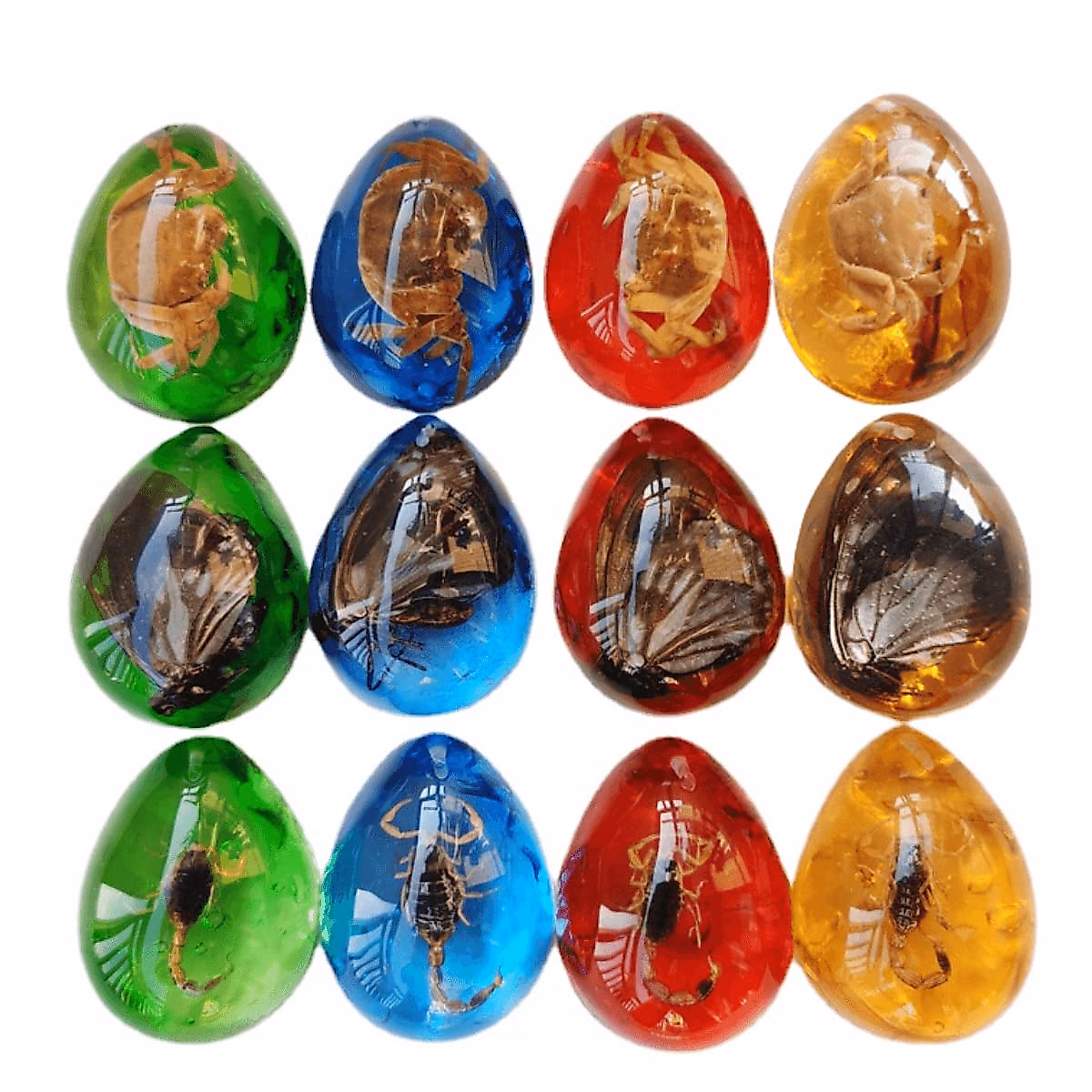 Colourful Amber Fossil Insect Artificial Amber Insect Specimen Pendant Amber Stone Ornament for Collection,Science Education (12 PCS)