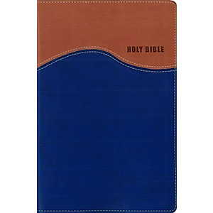 NIV, Gift Bible, Leathersoft, Tan/Blue, Red Letter Edition