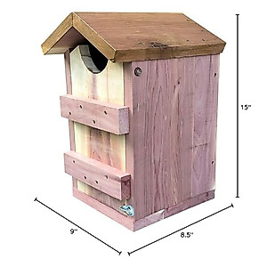 Vundahboah Amish Goods Screech Owl House Box for Nesting- Handmade in USA- Solid Cedar Wood Saw-Whet/Kestrel/Screech Owl/Flicker- Cedar Shavings Included