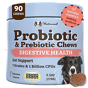 Natural Dog Company Probiotic Chews for Dogs (90 Bites), Chicken Flavor, Helps with Digestion & Gut Health Supports Immune System, Probiotics Supplement for Dogs of All Ages, Sizes & Breeds.