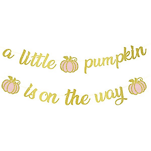 Little Pumpkin Baby Shower Decorations Girl a Little Pumpkin on The Way Banner A Little Pumpkin is On The Way Baby Shower Decorations Pumpkin Baby Shower Banner Lil Pumpkin Baby Shower Decorations