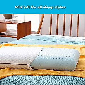 LINENSPA Pillow – Ventilated Gel Pillows Queen size – Memory Foam Pillows for Neck Support – Great for Side, Back, and Stomach Sleepers – Queen Size Pillows,Blue,white