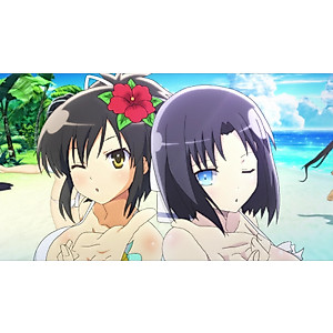 Senran Kagura Peach Beach Splash - No Shirt, No Shoes, All Service Edition - PlayStation 4