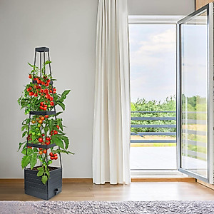 MYMULIKE Raised Garden Bed Planter Box with Trellis, 58” Tomato Cage Planter Raised Garden Bed with Trellis for Climbing Vegetables Plants Tomato Cage w/Self-Watering, Indoor Outdoor Use (2)