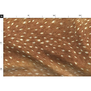 Spoonflower Fabric - Soft Deer Hide Spring Fawn Railroad Skin Animal Willow Printed on Minky Fabric by The Yard - Sewing Baby Blankets Quilt Backing Plush