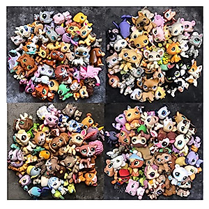 LPSXIE LPS, Random Surprise Grab Bag 5 Pets& 7 LPS Accesories Lot Bobble-Head Rare Cat and Dog Figures Collection Boys Girls Kids Gift