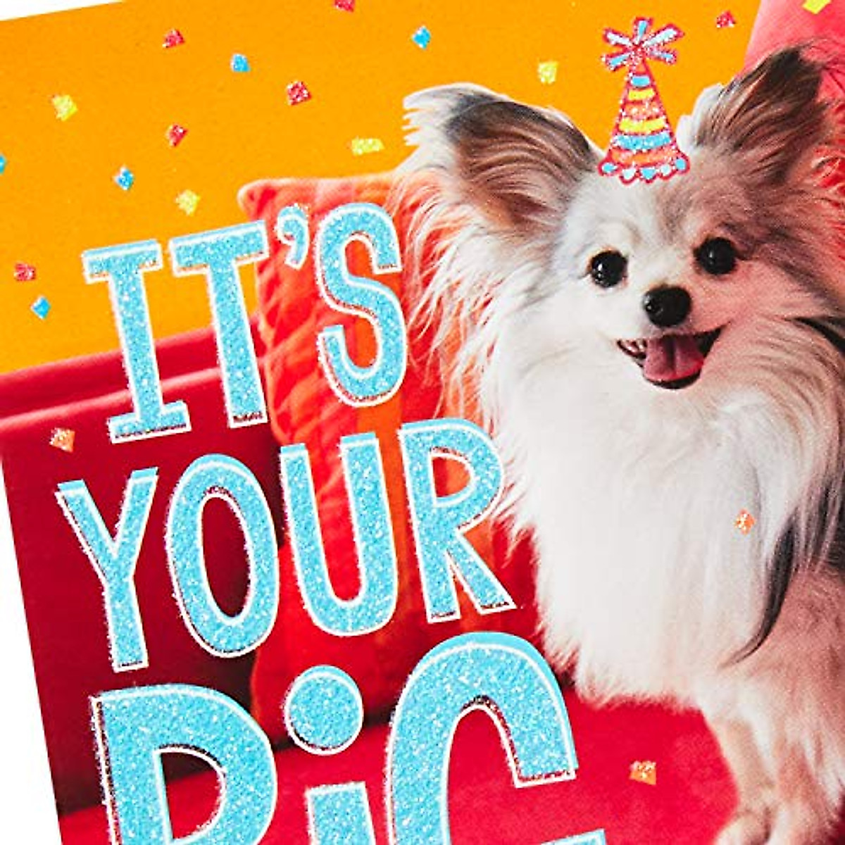 Hallmark Birthday Cards Assortment, 20 Cards with Envelopes (Refill Pack for Hallmark Card Organizer Box)