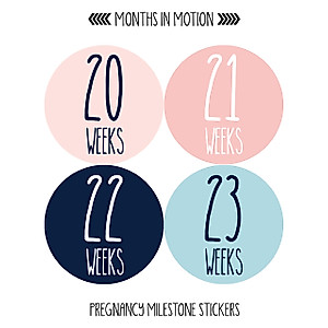 Months In Motion Weekly Pregnancy Growth Stickers | Week to Week Pregnant Expecting Photo Prop | Maternity Keepsake | Baby Bump | Weekly Stickers (Set of 36 Stickers)