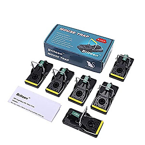 Mouse Trap Mice Trap That Work Human Power Mouse Killer Mouse Catcher Quick Effective Sanitary 6Packs