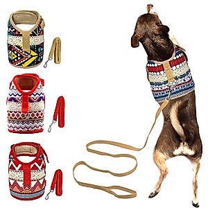 Muttitude Dog Harness & Leash Set for Small Breeds (Extra Large, Goa)