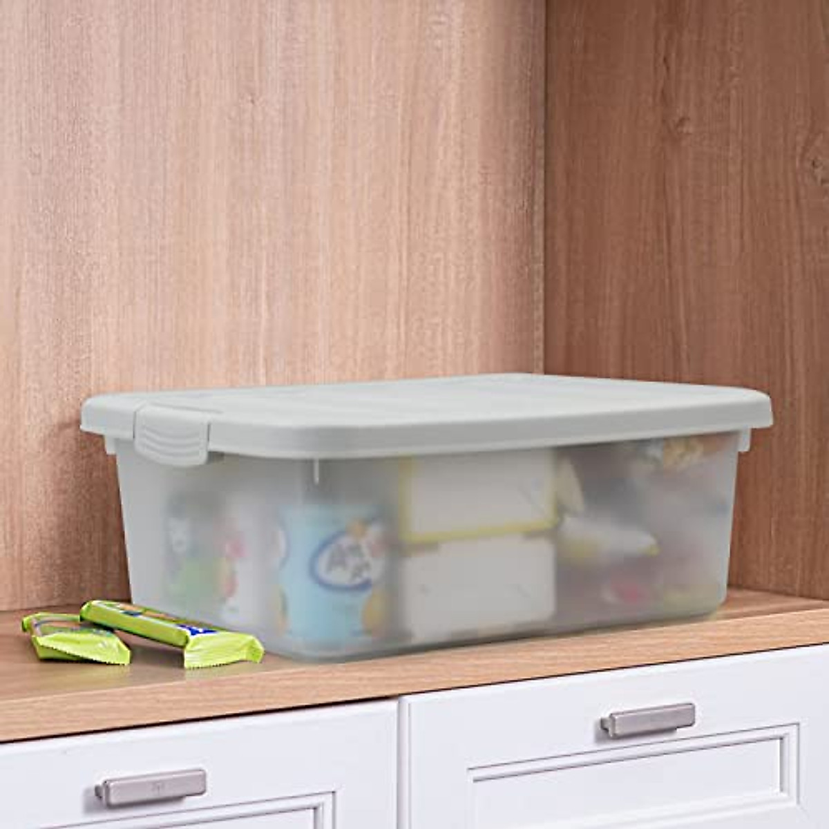 Tyminin 14 L Plastic Storage Box with Black Lids, 2 Packs