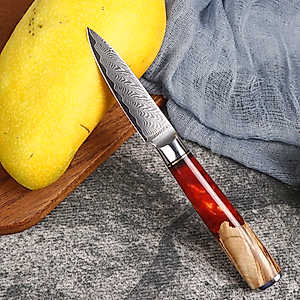 JUMCSONG 3.5 Inch Fruit Knife, 67 Layer Damascus Steel Blade Peeling Knife, Super Sharp Kitchen Knife
