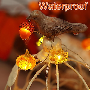 BOHON Thanksgiving Decoration Acorn 3D Pumpkin Maple Leaf String Lights Battery Operated with Remote 10ft 30 LEDs Orange Fall Lights for Home Autumn Garland Harvest Halloween Party Christmas Decor