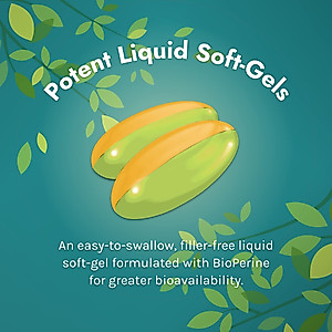 Irwin Naturals Double-Potency Ginkgo Biloba 240mg Extra Strength Brain Health Supplement - Enhance Memory, Mental Focus, Alertness, Concentration & Herbal Energy Booster - 60 Liquid Softgels