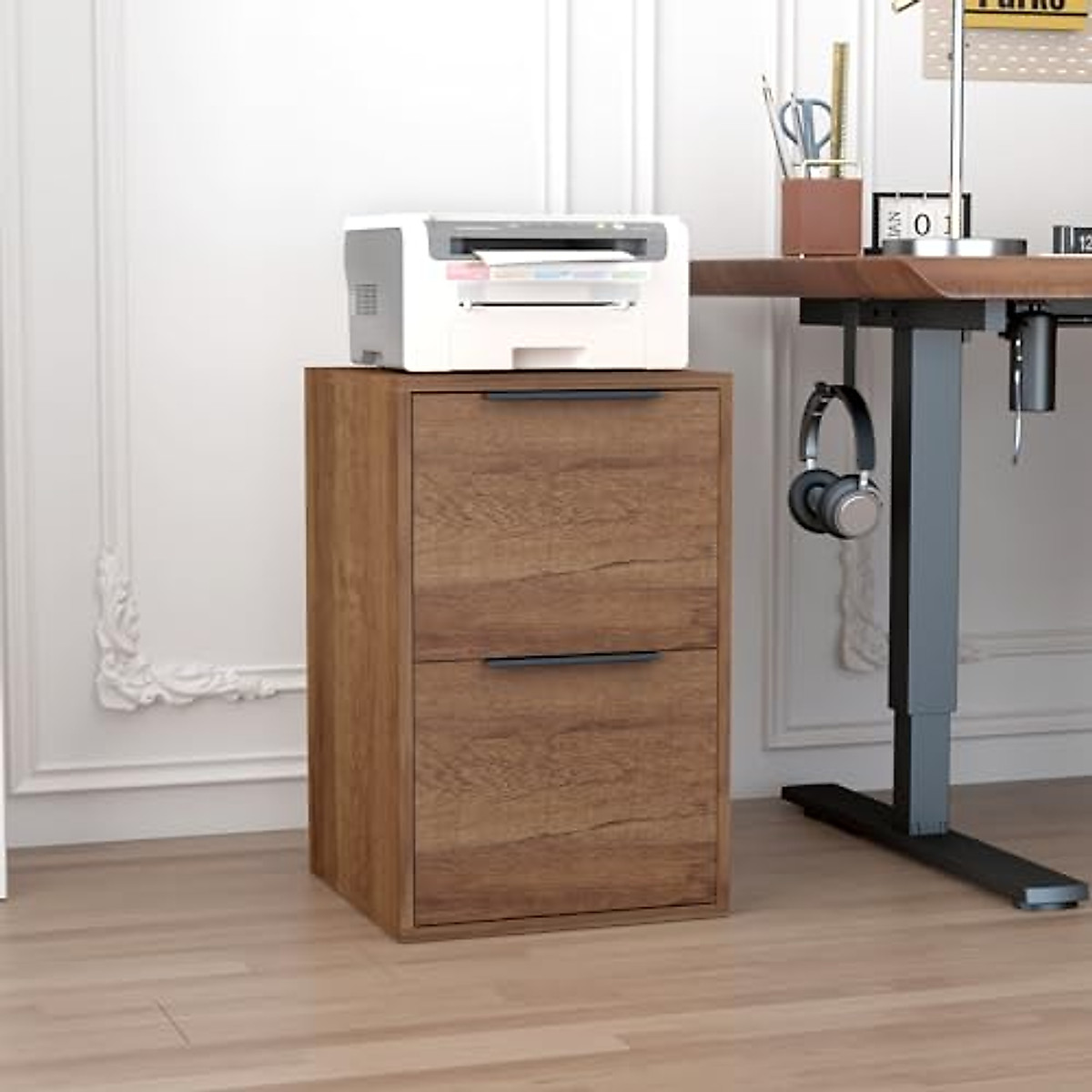 LUCYPAL Wooden File Cabinet 2 Drawer,Vertical Storage Filing Cabinet with Hanging Bars for Letter Size,File Storage Cabinet Used for Home Office, Brown