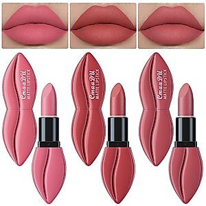 evpct 3Pcs Nude Pink Mauve Brown Matte Velvet Lipstick Set Long Lasting 24 Hours Matte Lip Stick Packs Lip Stain Gloss Makeup Set for Women labiales matte larga duracion 24 05#06#07#