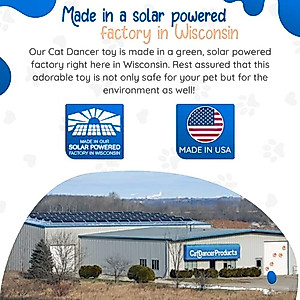 Cat Dancer Products 101 Interactive Cat Toy, Brown