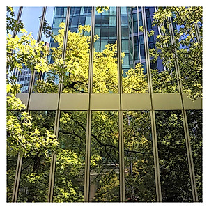 Window Film Privacy One Way Window Reflective Film Sun Blocking, Heat Control and Anti UV Adhesive Mirror Window Tint for Home and Office, 60Inch x 17.7Inch, Silver