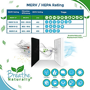 Breathe Naturally - Extra Thick Replacement Filters Compatible with Levoit LV-PUR131, LV-PUR131-RF, LV-PUR131S Air Purifiers - Easy to Install(1 True HEPA Replacement Filter, 1 Activated Carbon Pad)