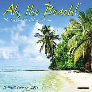 Willow Creek Press Ah The Beach! Monthly Mini 2024 Wall Calendar (7" x 7")