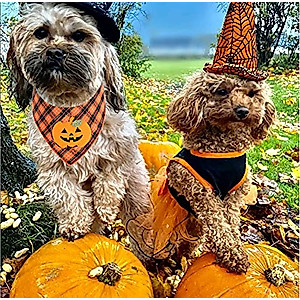 Dog Halloween Bandana 2Pack, Plaid Triangle Scarf with Designer Appliques for Dogs