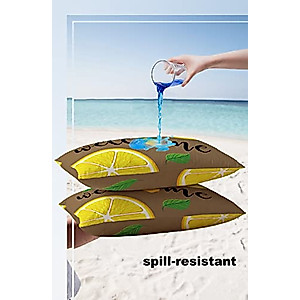 ALAGEO Outdoor Waterproof Pillow Covers for Patio Furniture Summer Fruit Lemon Decorative Throw Pillow Cover Plant Green Leaves Brown Pillowcases Set of 2 Cushion Case for Sofa Couch Chair 20x12 in