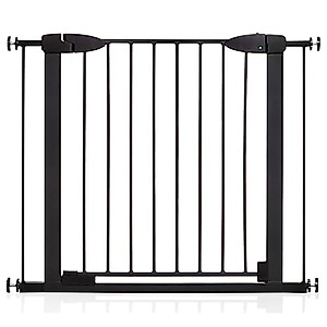 Dreambaby Boston Magnetic Auto Close Security Gate (29.5-38 inches, Black)