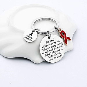 FUSTMW Stroke Awareness Keychain Stroke Warrior Gifts I Am The Storm Stroke Survivor Jewelry Recovery Gifts Red Ribbon Cancer Inspirational Gifts (silver)