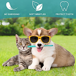 Guiqulai 100 Pcs Pet Toothbrush, Cat Toothbrush Dog Toothbrush Small Breed Dog Toothbrush Cat's Toothbrush for Cats, Puppies, and Small Breed Dogs Like Teacups, Chihuahuas