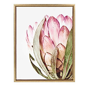 Kate and Laurel Sylvie Pink Protea Flower Framed Canvas Wall Art by Amy Peterson, 18x24 Gold