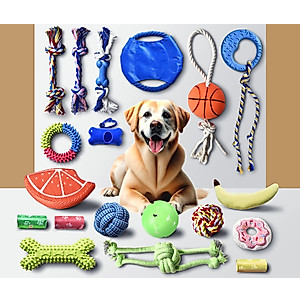 Stride Chew Toys for Puppy, 19 Pack, Dog Toys for Small Dogs & Puppies, Teething Dental Toys, Rope Toys, Plush, Squeaky & Treat Toys for Boredom, Great Value 19-Pack with Fun & Engaging Toys