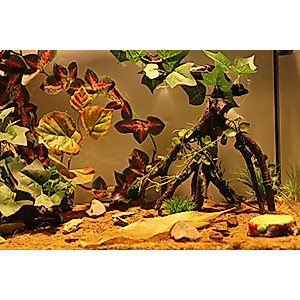 HRRIVE Reptile Corner Climbing Branch with Plant Leaves Terrarium Habitat Decoration for Bearded Dragon Lizard Snake Hermit Crab Crested Gecko Leopard Chameleon Frog Climbing Accessory