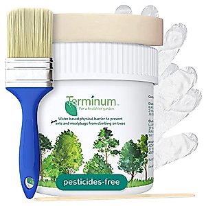 TERMINUM Ant Barrier - Water-Based Barrier, Ready-to-Use Physical Barrier for Ants & Mealybugs - Complete Control Kit for Gardens, Plantations, Farms, & Outdoors - 11oz