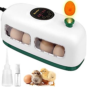 Egg Incubator for Hatching Chicks, 8 Eggs Poultry Hatcher, Cute Little Train Shape Egg Incubator, with Humidity Temperature Control, for Chickens Ducks Goose Quail Birds