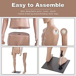 Mannequin Torso Manikin Dress Form Male 73" Adjustable Detachable Realistic Full Body Mannequin Model Display with Metal Base Plastic Head Turns Poseable Adult Dummy Mannequin Stand