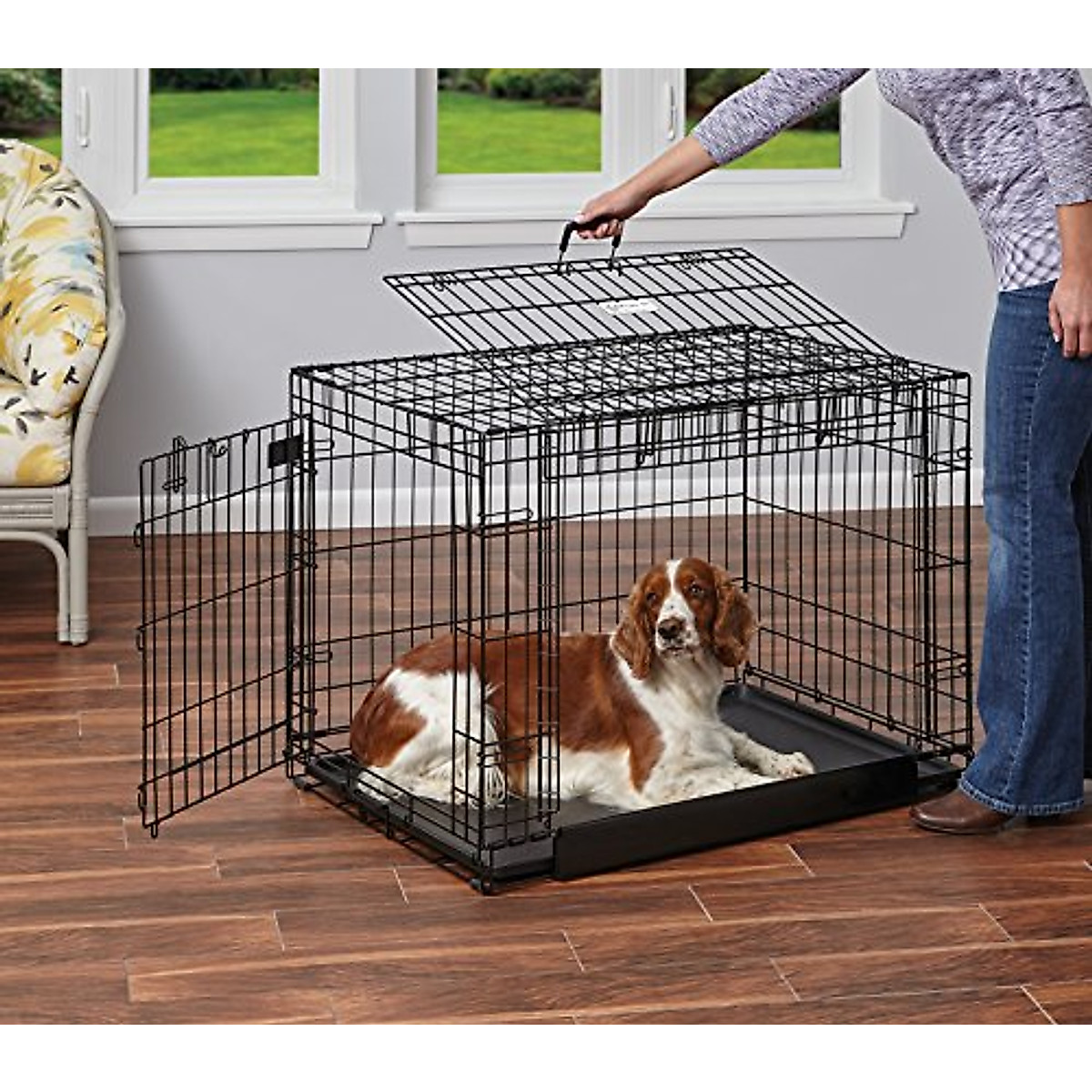 MidWest Homes for Pets Ovation Double Door Dog Crate, 36-Inch