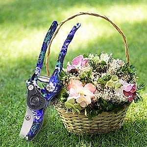 FLORA GUARD 3 Piece Aluminum Garden Tool Set - Trowel, Cultivator, Pruning Shear, Gift Set for Gardening Needs (Purple&Blue)