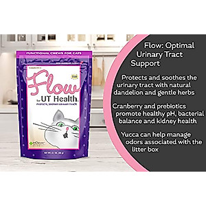 In Clover Flow Soft Chews for Daily Support for UT Health in Cats, Scientifically Formulated with Natural Ingredients for a Healthy Urinary Tract. 2.1oz. (60gm)